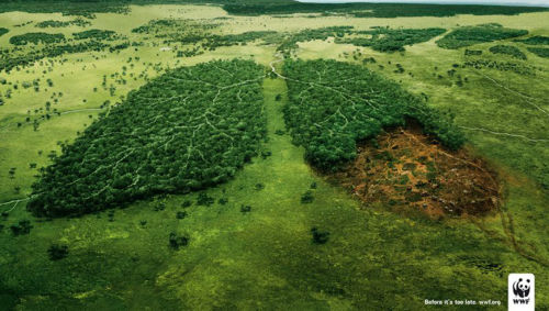 WWF Campaign: Deforestation and lungs